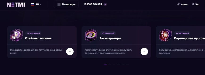 Netmi отзывы и разоблачение пирамиды! Netmi org не платят?