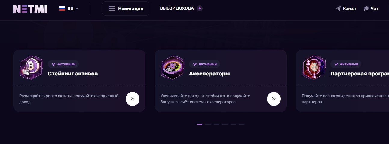 Netmi отзывы и разоблачение пирамиды! Netmi org не платят?