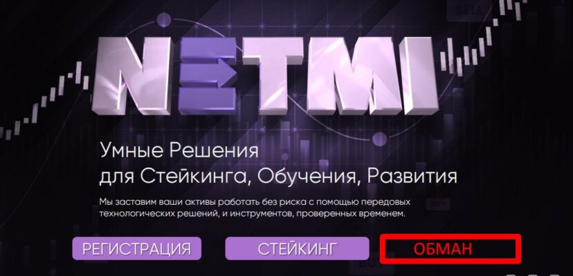 Netmi отзывы и разоблачение пирамиды! Netmi org не платят?
